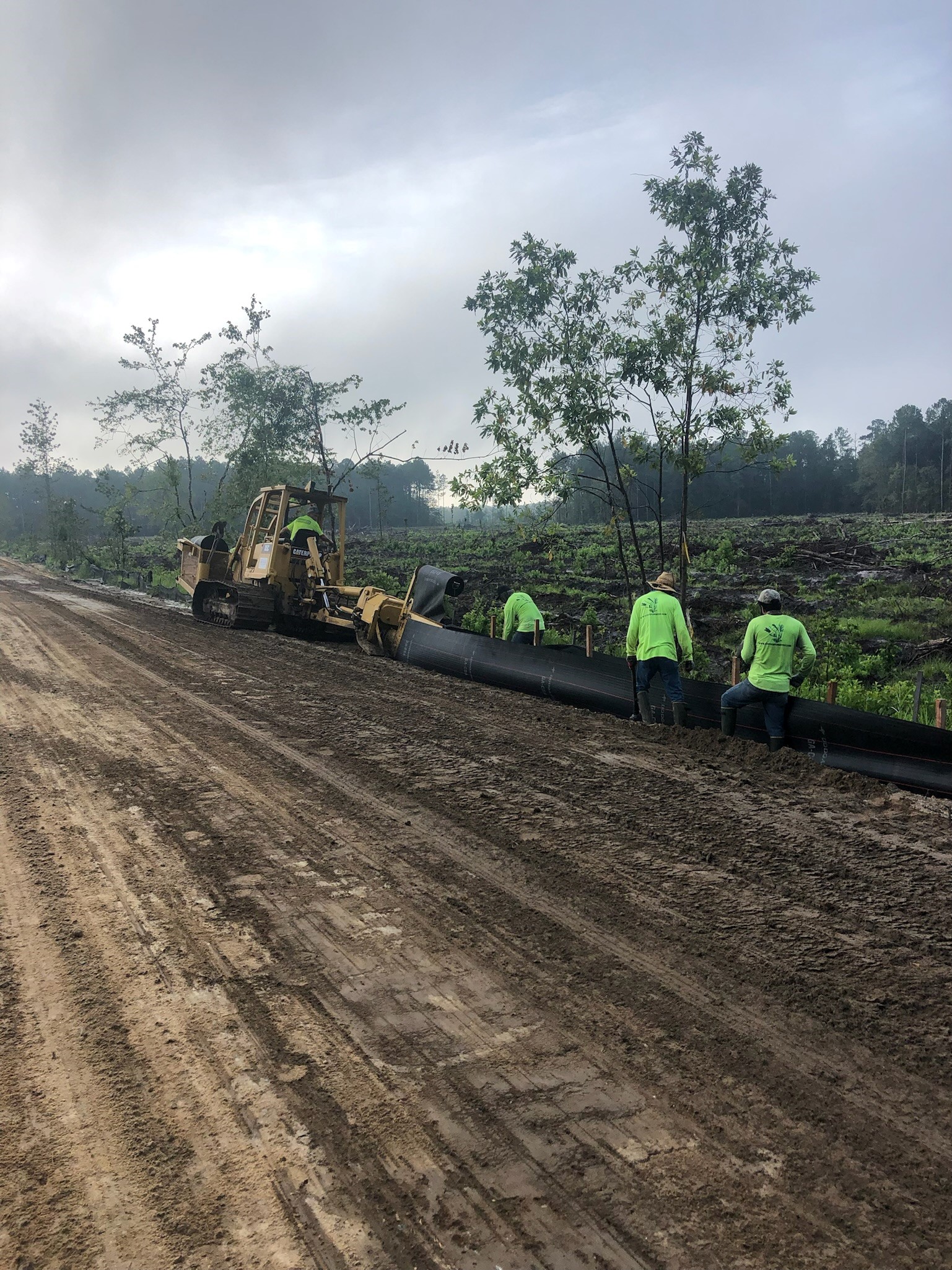 Contact - Prograde South